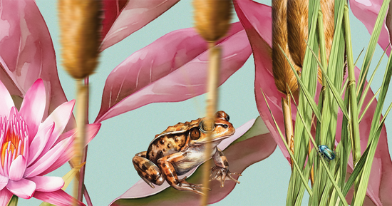 BioPuff® Jacket by Ponda